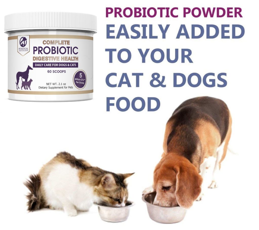 Petastical Probiotic Powder for Dogs and Cats (60 Scoop) - Petastical