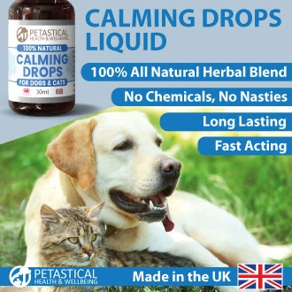 Valerian Root for Dogs: Natural Calming Drops for Anxiety Relief ...