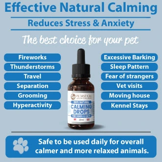Valerian Root for Dogs: Natural Calming Drops for Anxiety Relief ...